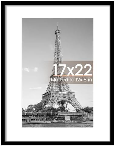 Amazon.com - Craig Frames 1WB3BK 17 x 22 Inch Picture Frame, Black, Set ...
