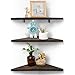 Amazon.com: Joiishom Corner Wall Shelf Set of 3, Floating Corner ...