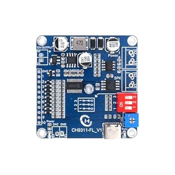 Amazon.com: 20W Sound Playback Board, 8MB Voice Module USB Downloadable ...
