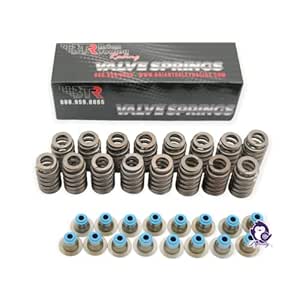 Brian Tooley BTR .560" Lift LS6 Beehive Valve Springs and Hat Seals 4.8 ...