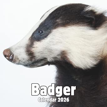Badger Calendar 2026: 14-Month Organizer from Nov 2025 to Dec 2026 ...
