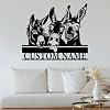 Amazon.com: Custom Personalized Donkey Name Signs - Metal Wall Art ...
