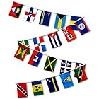 Amazon.com : 30ft String Flag Set of 20 Latin American Country Flags ...