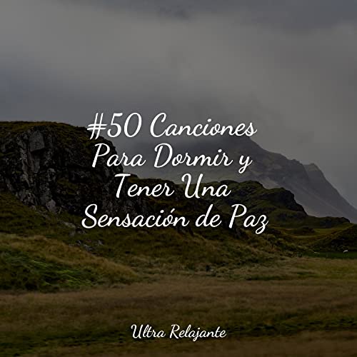 Play #50 Canciones Para Dormir y Tener Una Sensación de Paz by Música ...