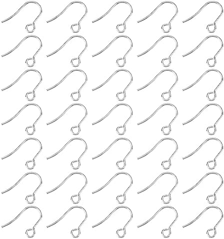 Amazon.com: 50pcs Stainless Steel Lever Back Earring Clasps, leverback ...