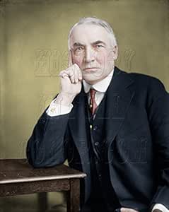 Amazon.com: President Warren G. Harding Color Photo: Posters & Prints