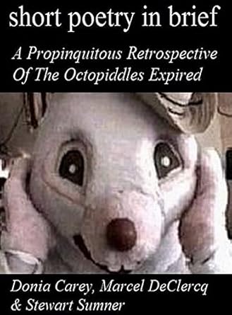 Short Poetry In Brief: A Propinquitous Retrospective Vision of The ...