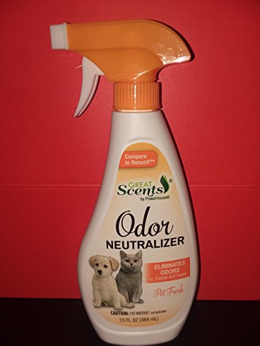 The 10 Best Odor Neutralizers - Guidebook