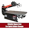 Amazon.com: Bucktool 22 Inch Variable Speed Scrow Saw, 1.3A Scroll Saw ...