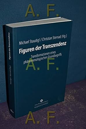Figuren der Transzendenz: Transformationen eines phänomenologischen ...