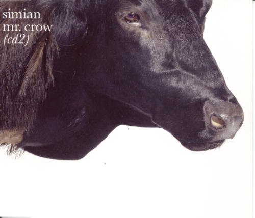 Simian - Mr Crow - Amazon.com Music