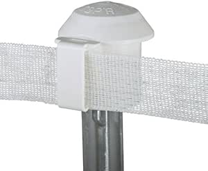Amazon.com: Dare Products T-Post Safety Cap and Insulator White : Patio ...