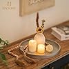 Hanobe Candle Plate Holder Tray: Champagne Sliver Round Wood Candle ...