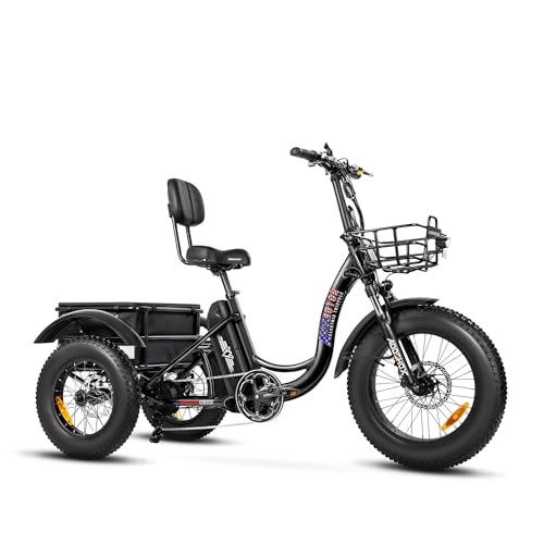 Top 10 Best Electric Tricycles For 2025: Expert Picks