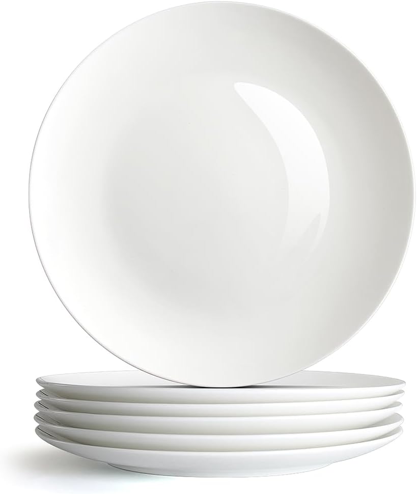 Amazon.com | YFWOOD Ceramic Dinner Plates Set Of 6, 10.5 Inch Kitchen ...