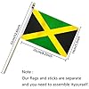 Amazon.com: LoveVC Caribbean 20 Countries Flags on Wood Stick Small ...