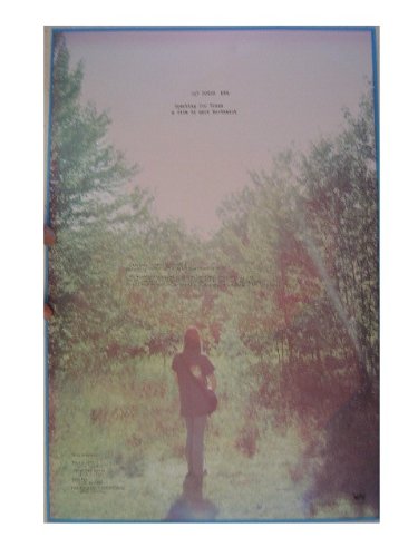 Amazon.com: Cat Power Poster By Lake Nature Trees Walking: Prints ...