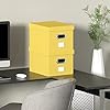 Amazon.com: DYWMM File Organizer Collapsible Storage Box for Office ...
