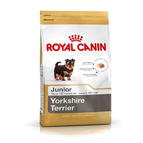 Top 10 Royal Canin Rabbit And Potato Dog Foods of 2023 - Best Reviews Guide