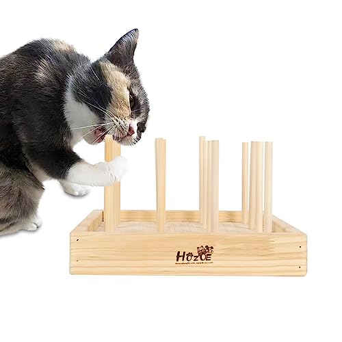 Purrfect Picks: Top 10 Cat Chewing Toys to Keep Your Feline Entertained ...