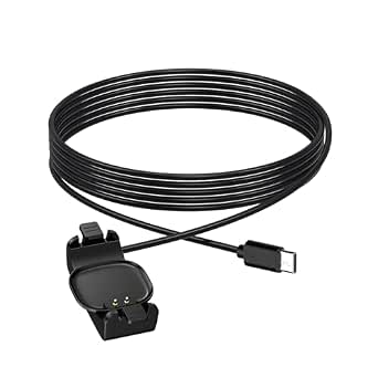 Amazon.com: weishan USB C Charger for Magic Band Plus - Type C to ...