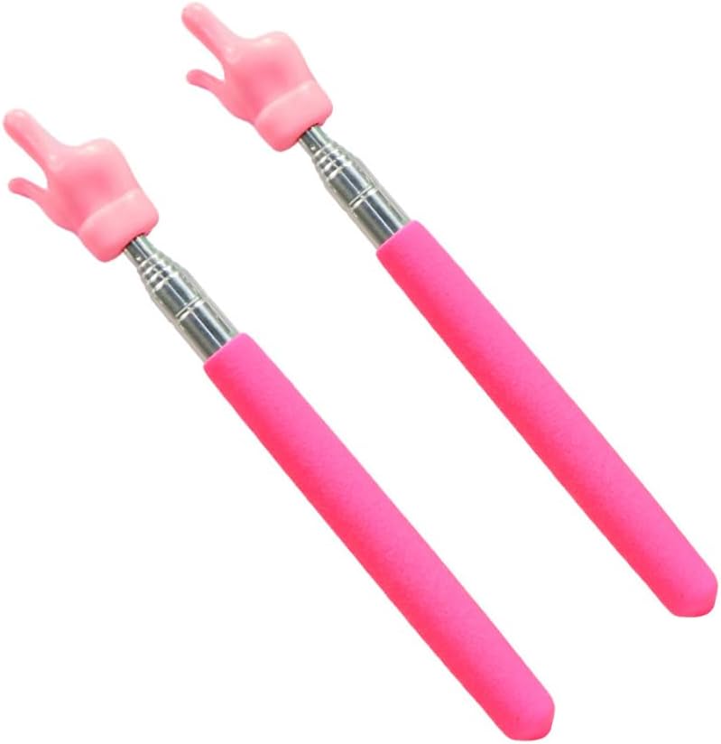 Amazon.com: 2 Pcs Telescopic Teachers Pointer, Extendable Hand Pointer ...