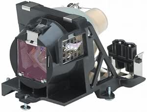 Amazon.com: DLP Projector Replacement Lamp Bulb Module for SMARTBOARD ...