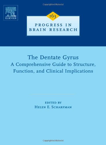 The Dentate Gyrus: A Comprehensive Guide to Struct (Volume 163): Buy ...