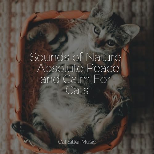 Spiele Sounds of Nature | Absolute Peace and Calm For Cats von Music ...