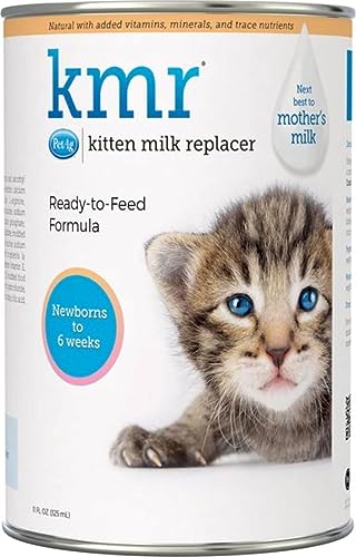 Kitten Formula – The 15 best products compared - Wild Explained