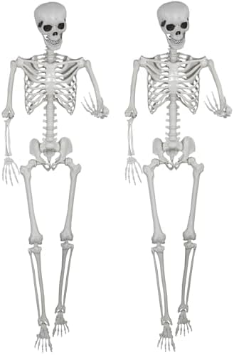 Amazon.com : 5.9Ft Halloween Skeleton Posable Skeleton Life Size ...