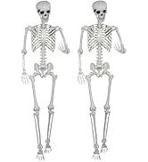 Amazon.com : 5.4ft Halloween Life Size Pirate Skeleton Realistic Human ...