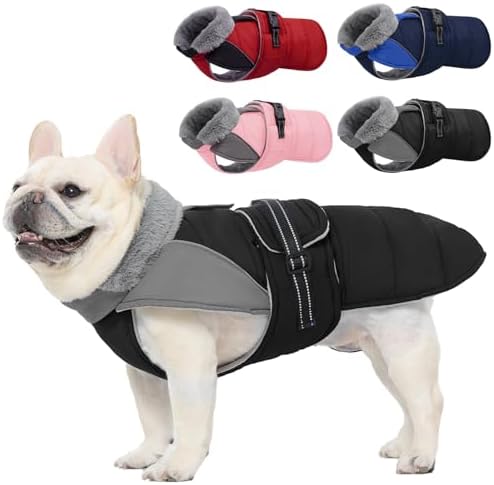 Amazon.com : Nanaki Small Dog Coats for Winter Waterproof, Warm Fleece ...