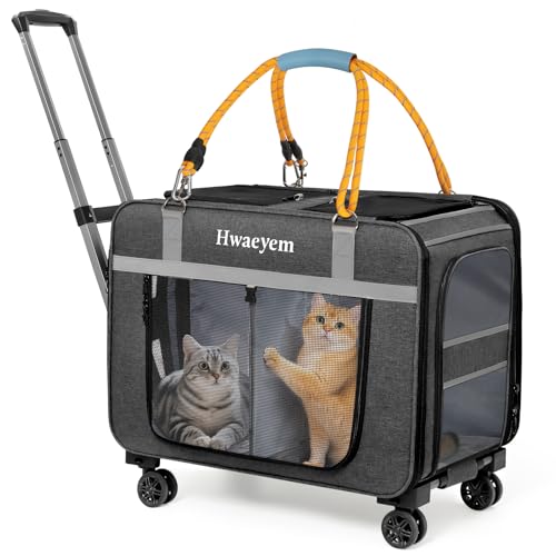 Cat Carrier with Wheels – The 15 best products compared - Wild Explained