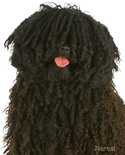 Journal: Happy Puli Dog: Publications, Dreamflight: 9781794668195 ...