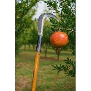 HIMAVAT Iron Pruning Curved Saw – Traditional Aruval/Arappu Kathi ...
