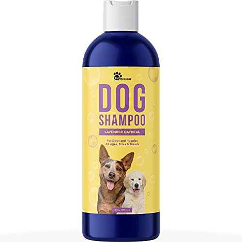 Top 12 Best Puppy Shampoos Reviewed in 2023 | PetStruggles