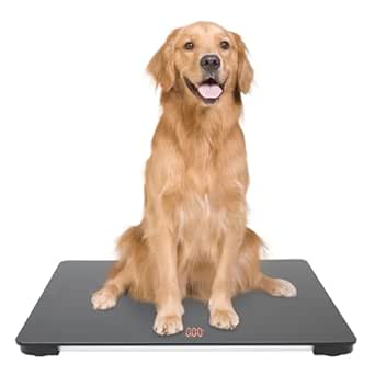 Amazon.com: LYNICESHOP Pet Scale, Pet Store Hospital Scale Large Dog ...