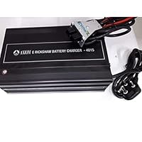 ImpulseGo Axiom 48V 15A E Electric Rikshaw Charger for Lead Acid ...