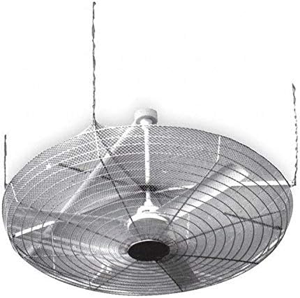 Amazon.com: Ceiling Fan Guard, 61 in. Dia, Chrome : Tools & Home ...