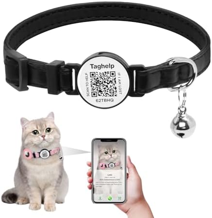 Pet Supplies : Cat Collar with Name Tag Breakaway: Kitten Collars with ...