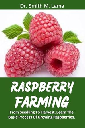 RASPBERRY FARMING: From Seedling To Harvest, Learn The Basic Process Of ...