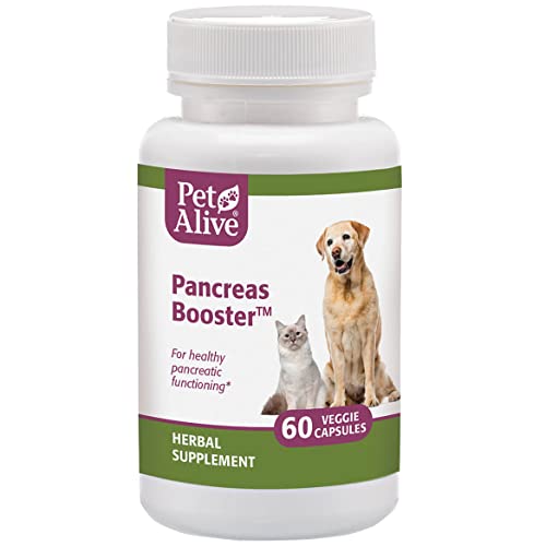 Fueling Fido's Pancreas: The Top 10 Dog Foods for a Healthy Digestive ...