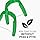 Amazon.com : REACH Ultraclean Access Flosser Refill Heads, Mint, Plaque ...