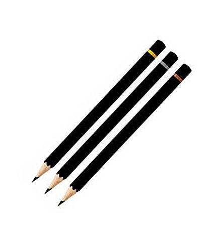 Camlin Charcoal Pencils - Medium (Pack Of 10) : Amazon.in: Home & Kitchen