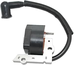 Amazon.com: Ignition Coil For W-ed E-ter XT25 XT45 XT65 XT200 GE21 ...