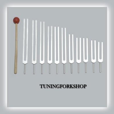 Amazon.com: TFS Tuningforkshop 12 Pc Mineral Tuning Fork for Healing ...