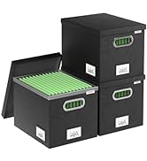 Amazon.com: GRSQYS File Organizer Box File Boxes for Hanging Files with ...