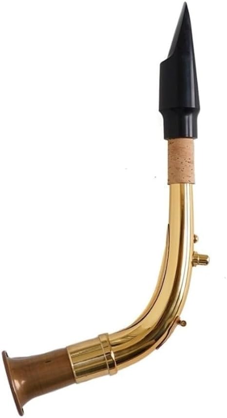 Amazon.com: Professional Metal Kazoo Flute – Adjustable Wind Instrument ...