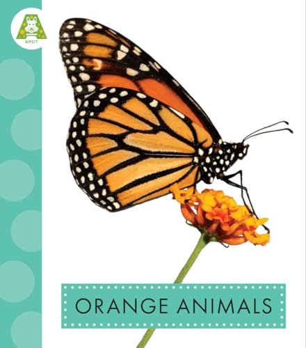 Discover Vibrant Orange Animals in Nature